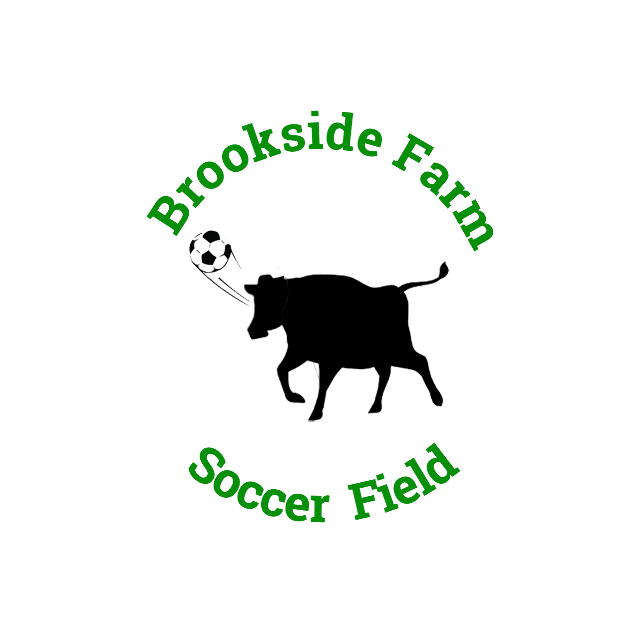 Brookside Farm Soccer – New Paltz Travel Soccer